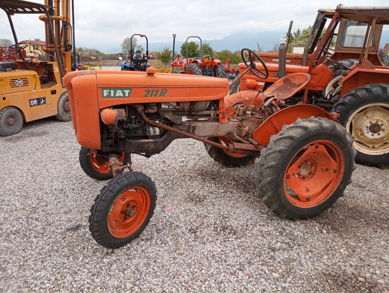 Trattore FIAT 211 R - Trattori Pellegrini
