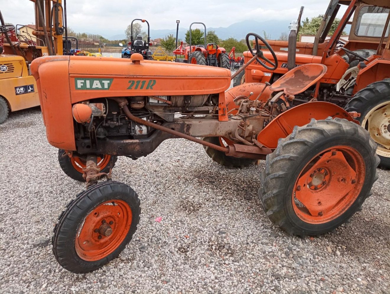 Trattore FIAT 211 R - Trattori Pellegrini