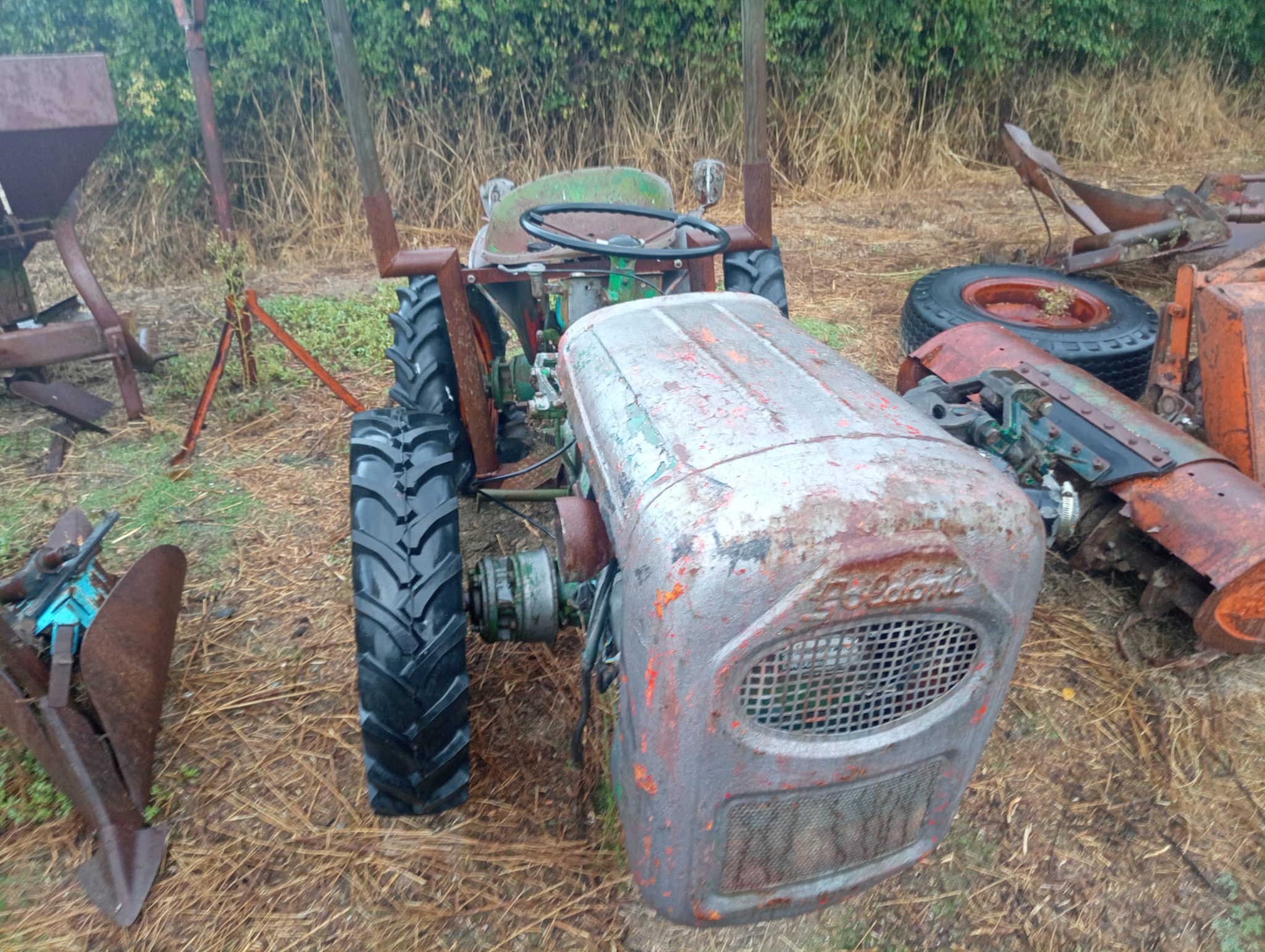 Trattore GOLDONI EXPORT 18 con Fresa - Trattori Pellegrini