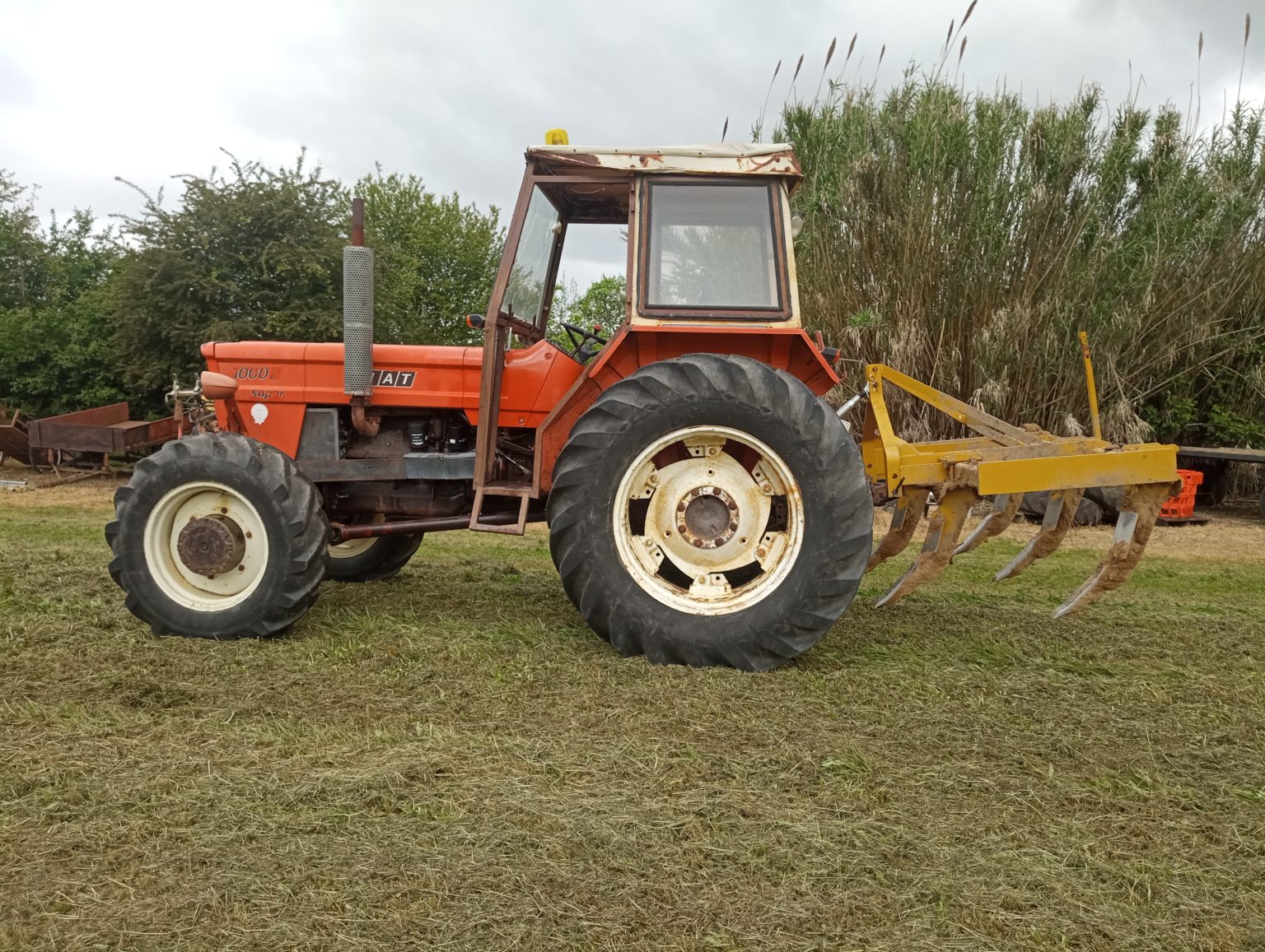 Trattore FIAT 1000 DT SUPER - Trattori Pellegrini